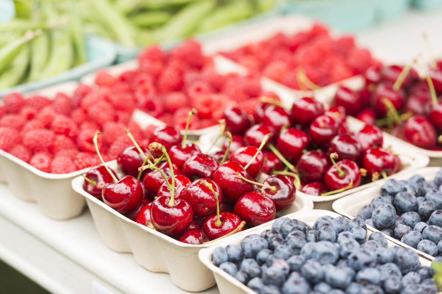 Cherry season with CFI - Commodity Forwarders