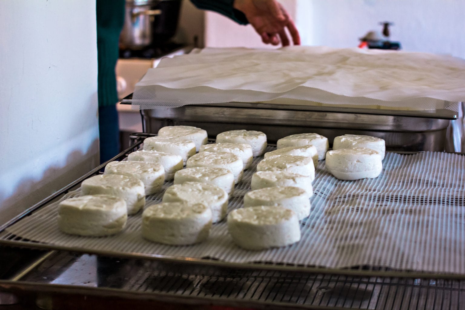 Cheese Export: Commodity Forwarders Lead the Way